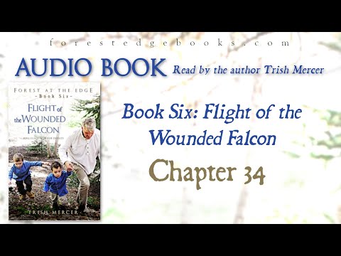 Final Chapters of Book 6, “Flight of the Wounded Falcon”, 34-37 ...