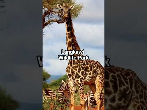 5 Most Visited Tourist Attractions in Langkawi