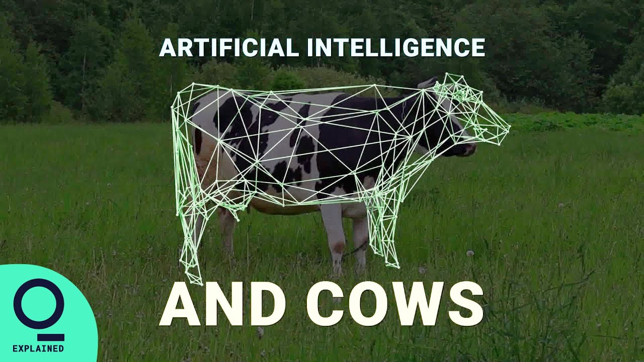 How Dairy Farmers Are Using AI