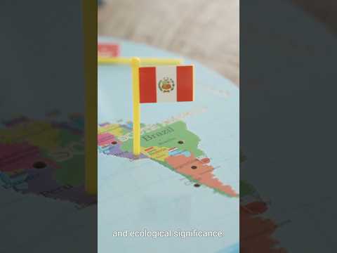 the continent area by south america and give other basic information of geography