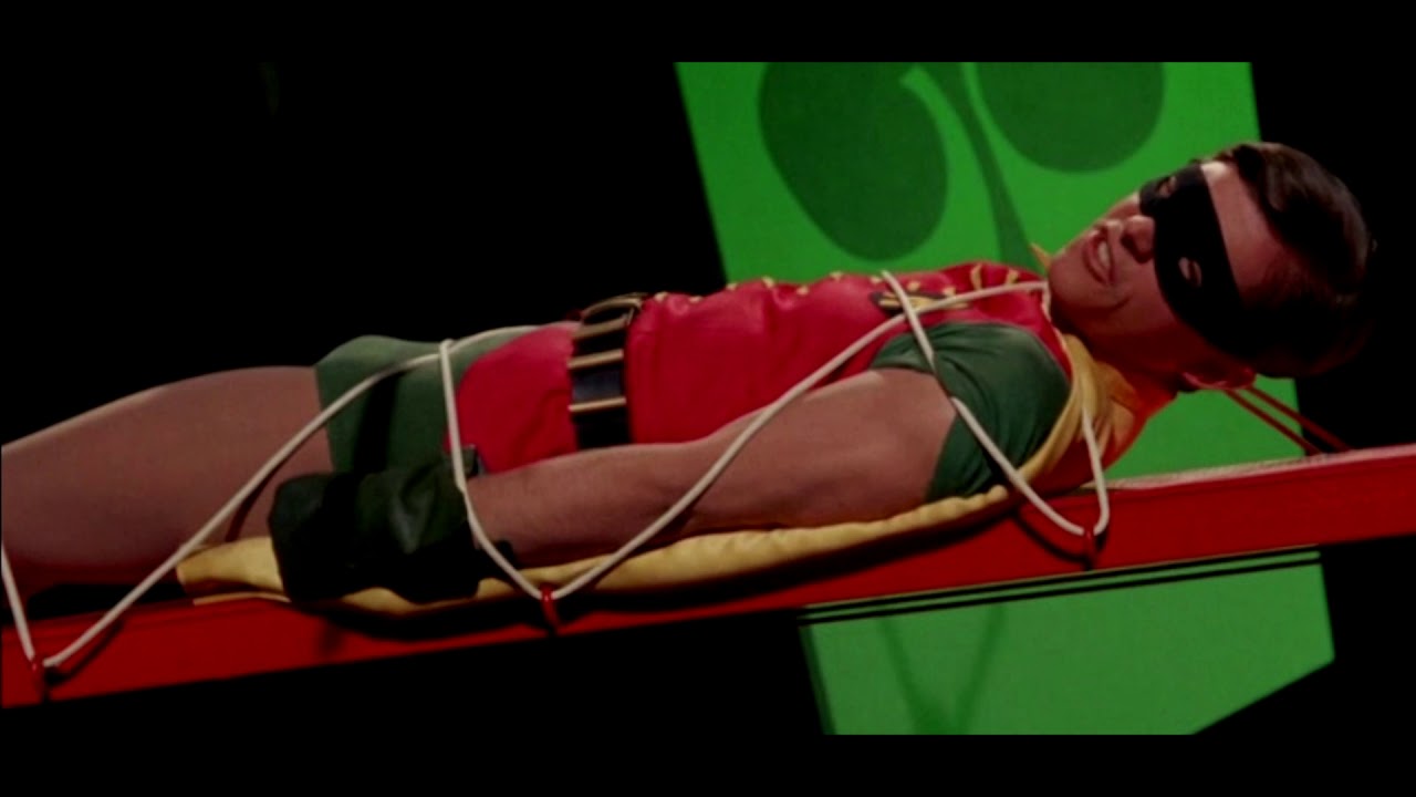 robin in peril flea