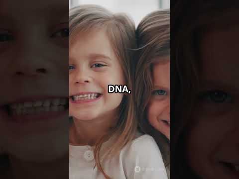 πΆπΆ Identical vs. Fraternal Twins β What's the Difference? π€ #Shorts