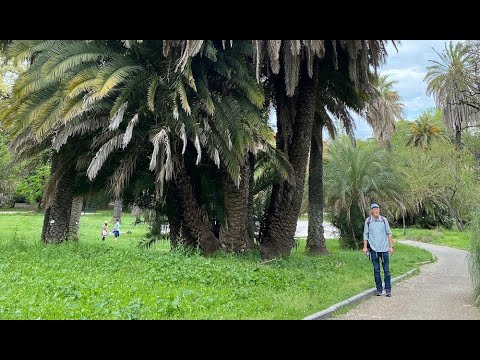 A Tour of the Amazing Rome, Italy Botanical Garden