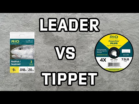 Fly Fishing Tippet vs Leader | Avoid This Rookie Mistake! (Material, Length, Uses)
