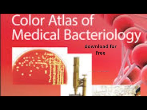 Color Atlas Of Medical Bacteriology Books download