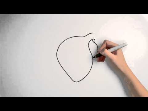 What is cholesterol? Understanding cholesterol with Flora ProActiv #1