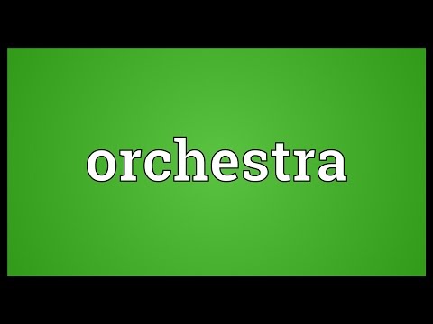 Orchestra Meaning