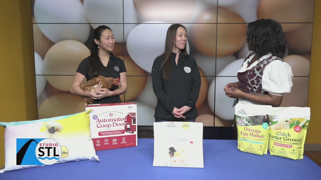 What the Cluck! How to get started raising backyard chickens