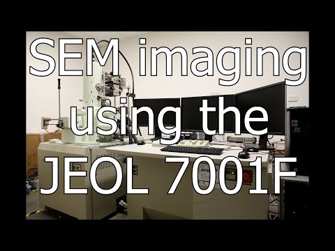 JEOL 7001F SEM Workflow