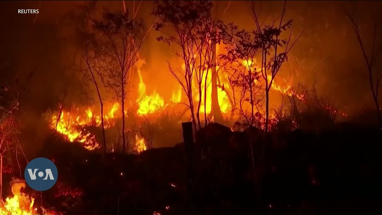 World leaders use COP29 summit to call for action against climate change