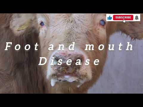 PROTECT Your Farm Animals from DEADLY Diseases!