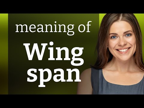 Unfolding the Mystery of "Wingspan"