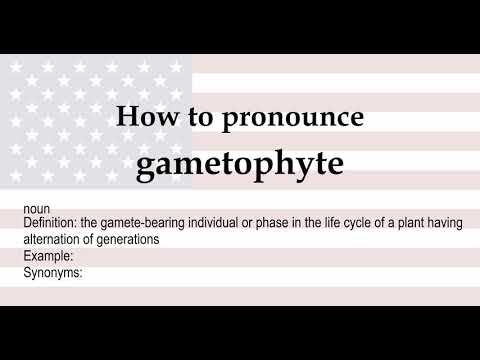 How to pronounce 'gametophyte' + meaning