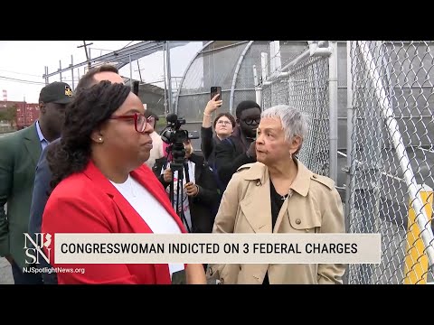 LaMonica McIver indictment raises the stakes