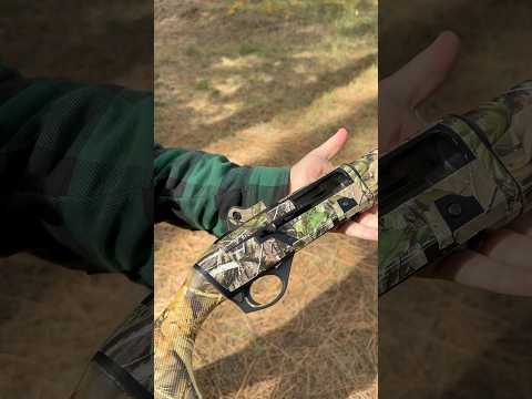 Benelli M2 #shorts #12gauge #fyp #fypシ゚ #shotgun #hunting #outdoors #adventure #benelli