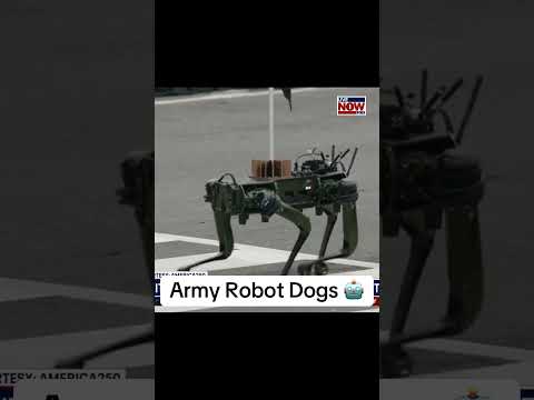 Watch the US Army robot dogs at the DC military parade