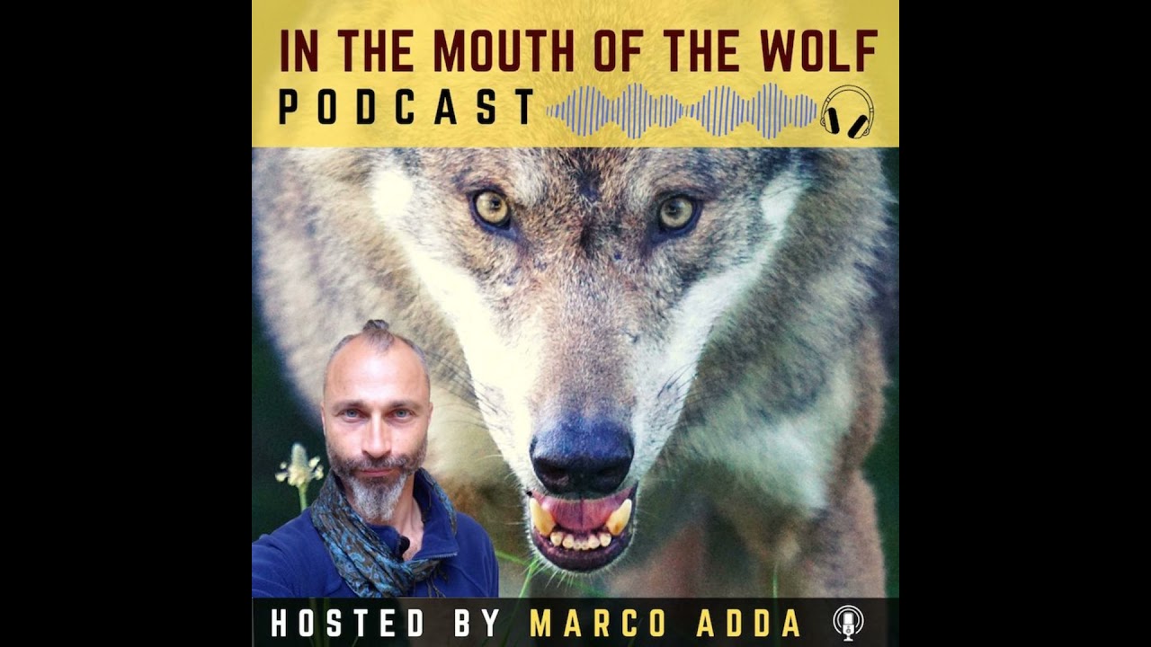 The Anthrozoology Symposium: in conversation with Irina Frasin