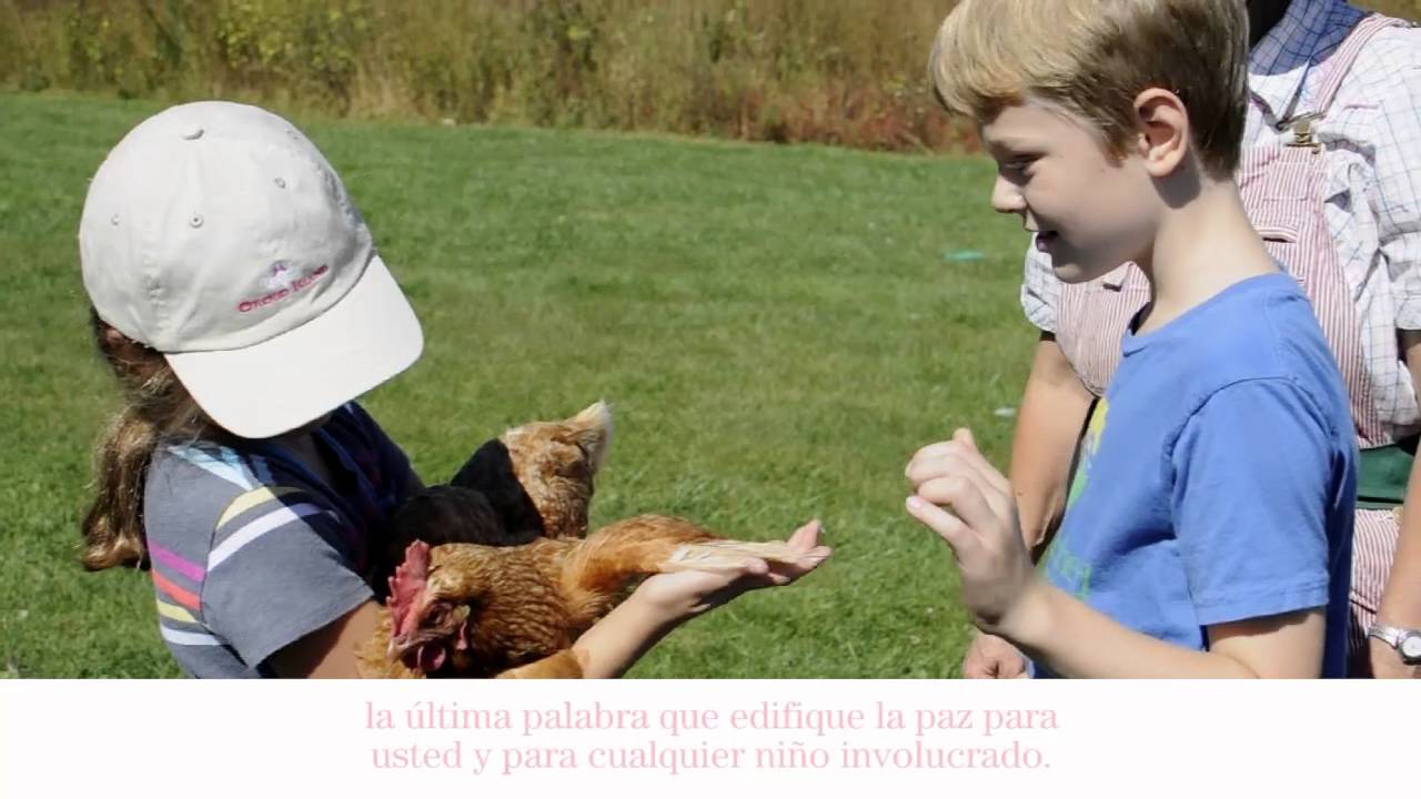 UTP Workshop Video #3 (Spanish Version)