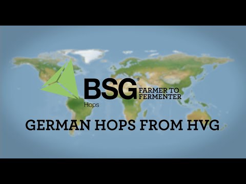 BSG Hops - Farmer to Fermenter - HVG Germany