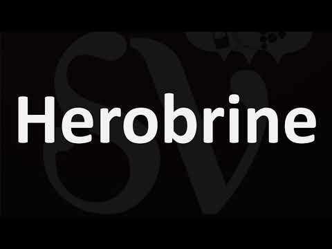 How to Pronounce Herobrine?
