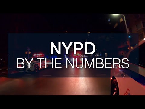 NYPD By the Numbers