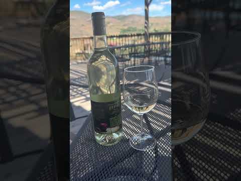 Apple wine from Four Lakes Winery in Manson Washington June 2025 #wawine #lakechelan #applewine