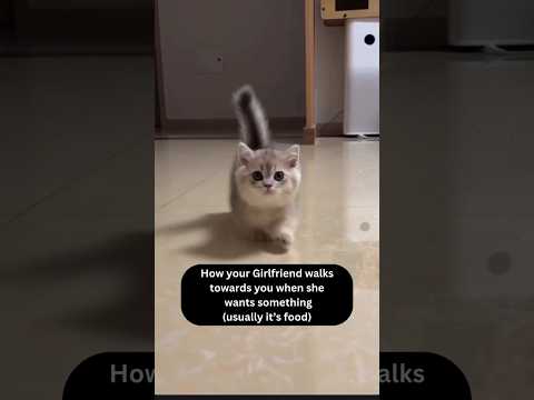 If you laugh, you restart pt 1158 | #memes