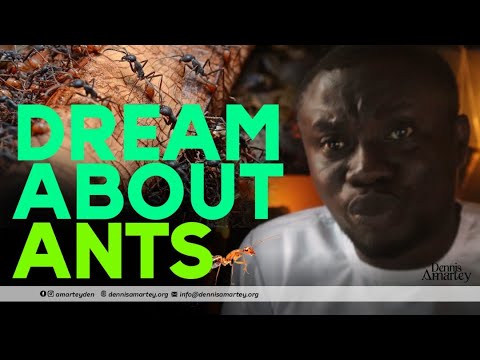 Dream of Ants Meaning and What to DO