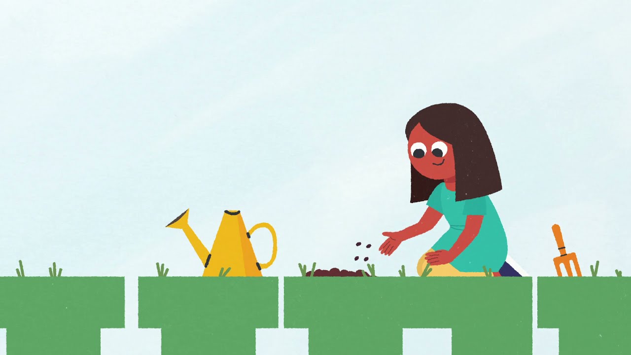 B-Lines: How insect pathways can ensure the survival of bees and pollinating insects