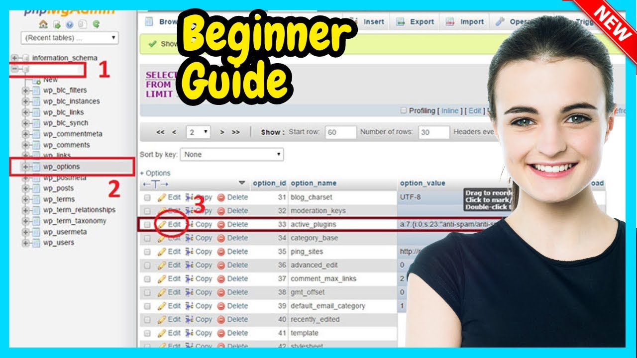 How to deactivate plugin from wordpress database 2026 | Full Guide