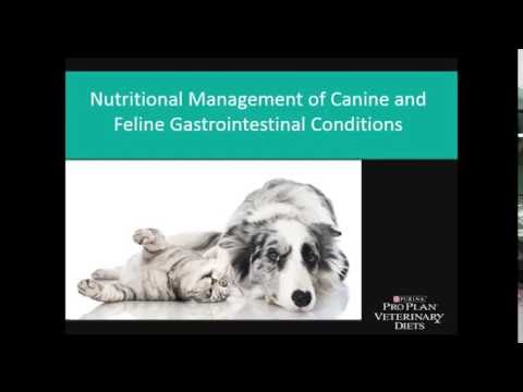 Nutritional Management of Canine and Feline Gastrointestinal Conditions