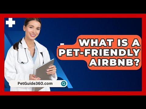 What Is A Pet-friendly Airbnb? - PetGuide360.com