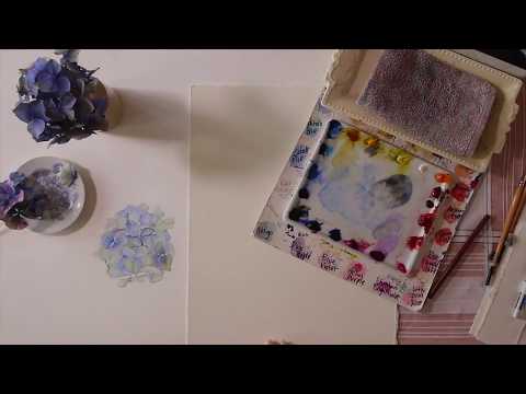 Painting a Blue Hydrangea preview ⎮Billy Showell ⎮ Watercolour Beautiful