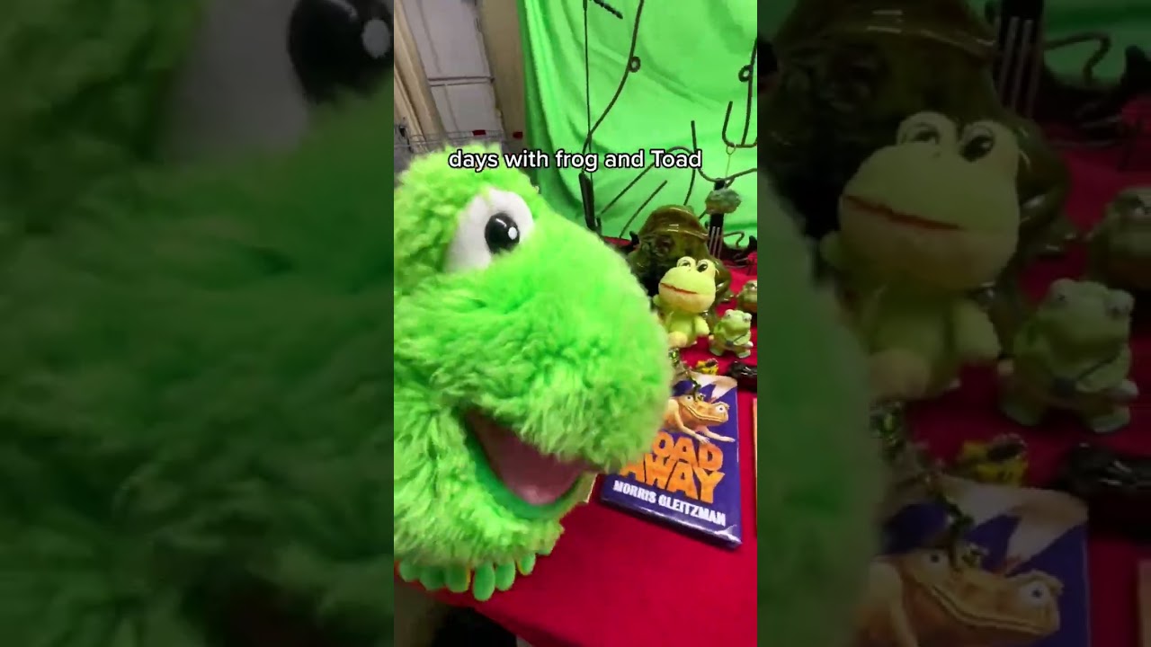 Frogtastic Delights: Showcasing a Donated Frog Collection at SIRCH Thrift Warehouse