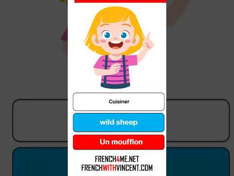 Guess the Meaning I French Word Game I #11