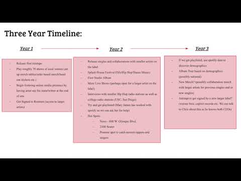 Artist Management Plan