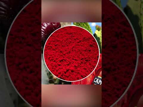 Do you know how carmine is made? #carmine #carmin #e120 #dangerous #food #nature #Cochineal