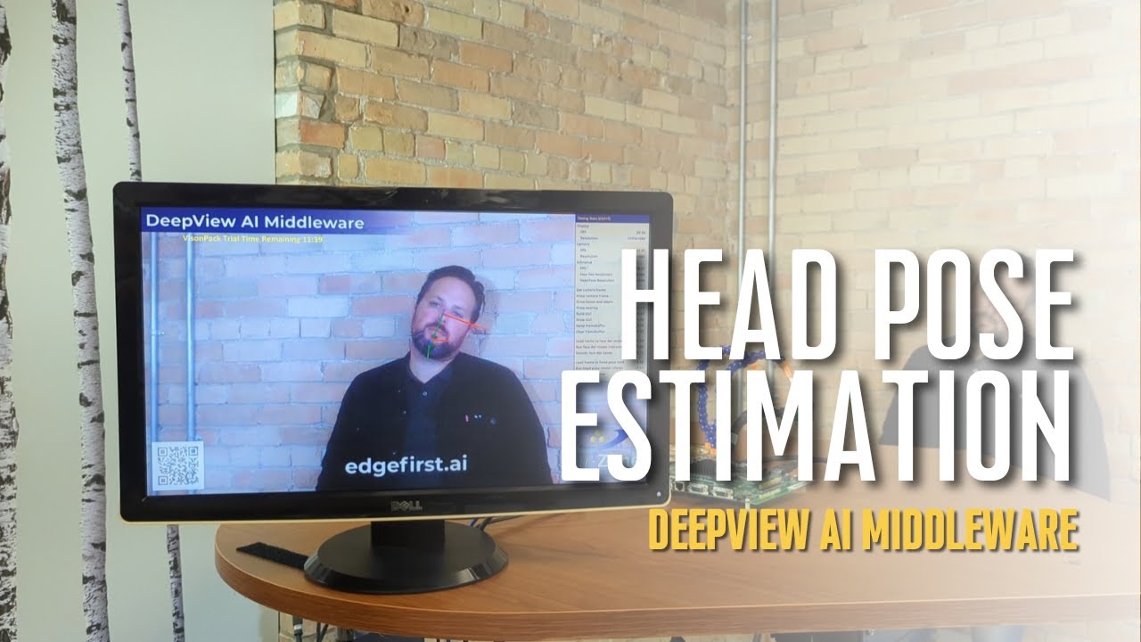 Head Pose Estimation Demo Application- DeepView AI Middleware