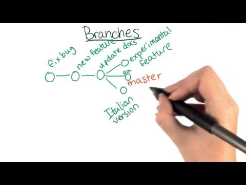 Learn Branches - Mind Luster