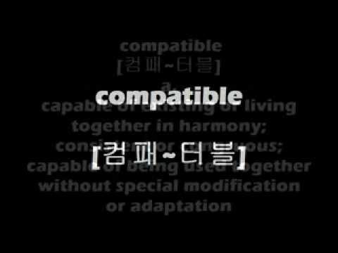 Dr. Choi's WordBank 1 [compatible]