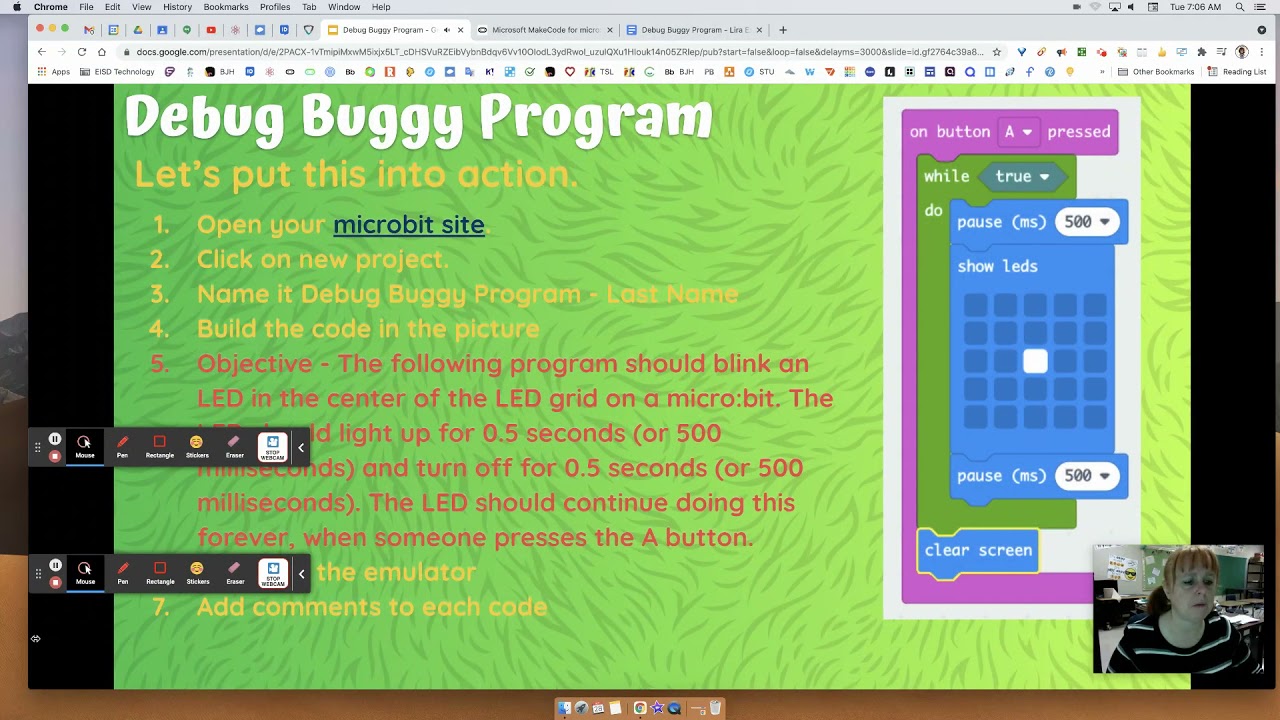 Debug Buggy Program Lesson
