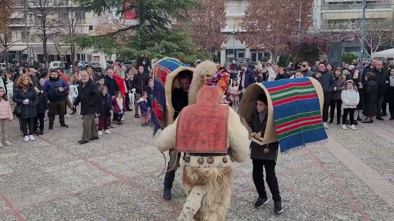 Λάρισα: «Γουρουνοχαρά» με κόσμο και ατελείωτο χορό στη Φιλιππούπολη ...