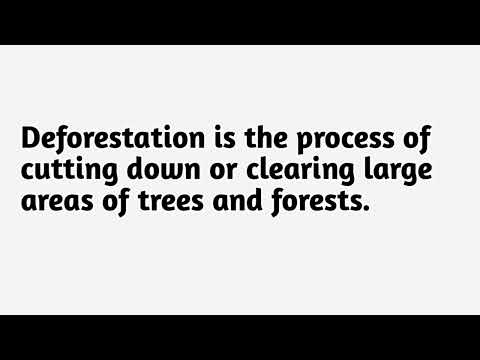 What is Deforestation ?
