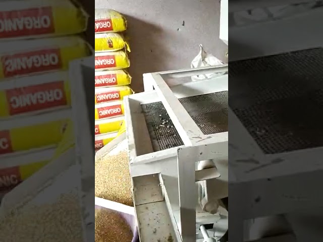 Seed Processing Plant - Grain Grading Machine from Saha