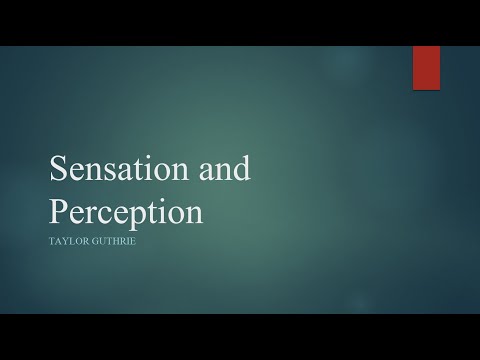 Cognitive Neuroscience of Sensation and Perception - Audition and Vision