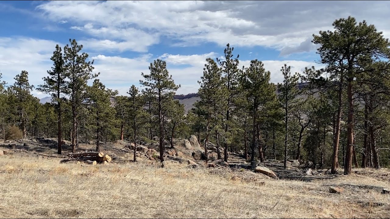Protecting the Chimney Hollow Valley | CHRP | Northern Water