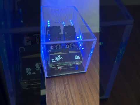Mining Doge | #Shorts | Howmuch?