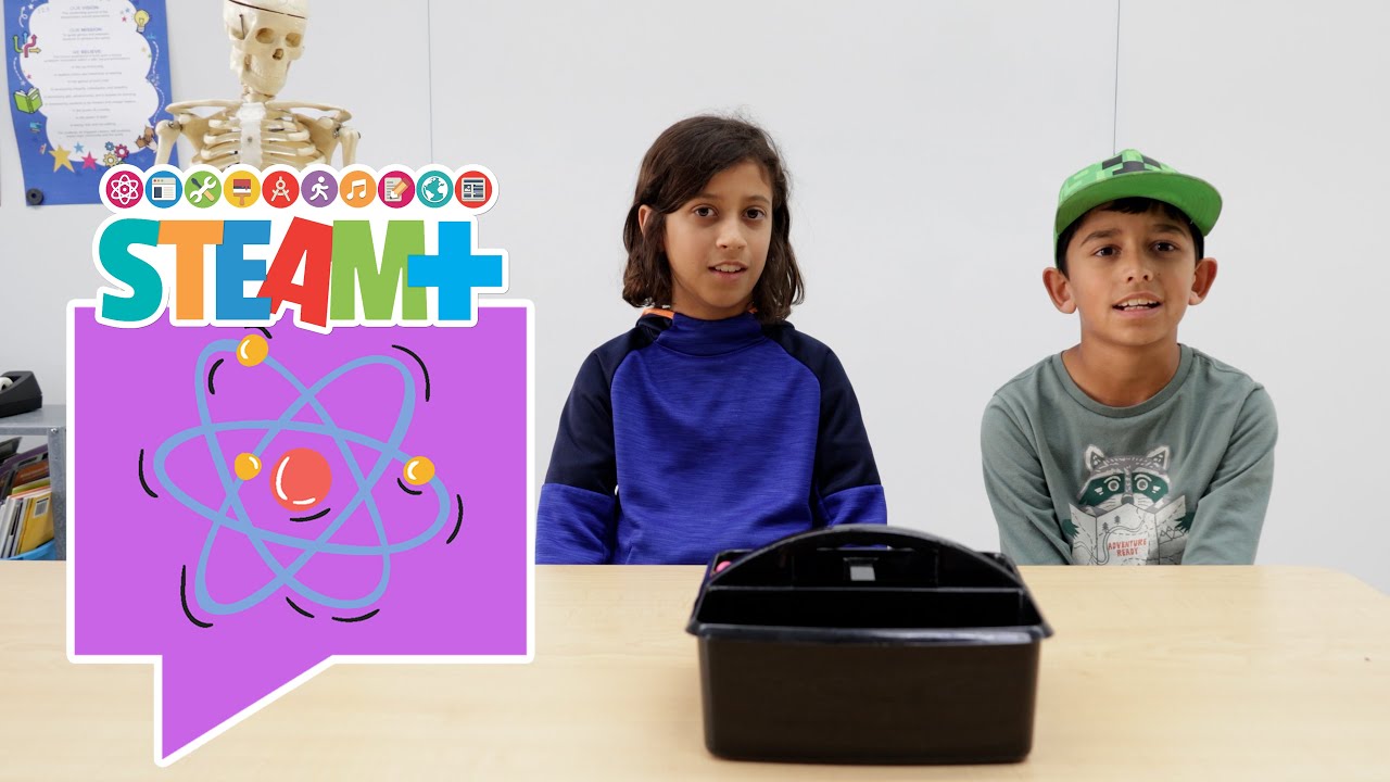 STEAM+ Spotlight Science