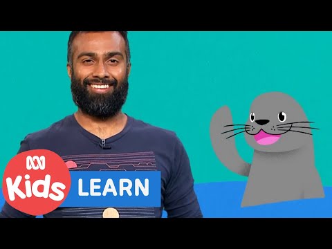 What Is Marine Biology? | Imagine This | Science Podcast for Kids | ABC Kids Listen