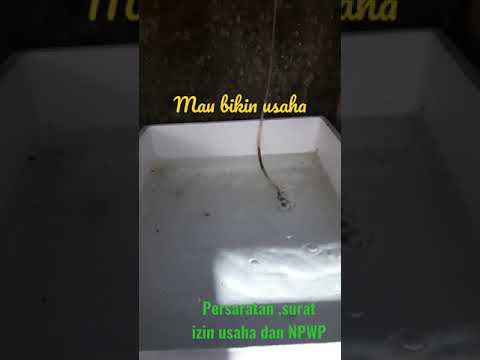 UMKM mau bikin usaha apa , mana surat izin usaha nya